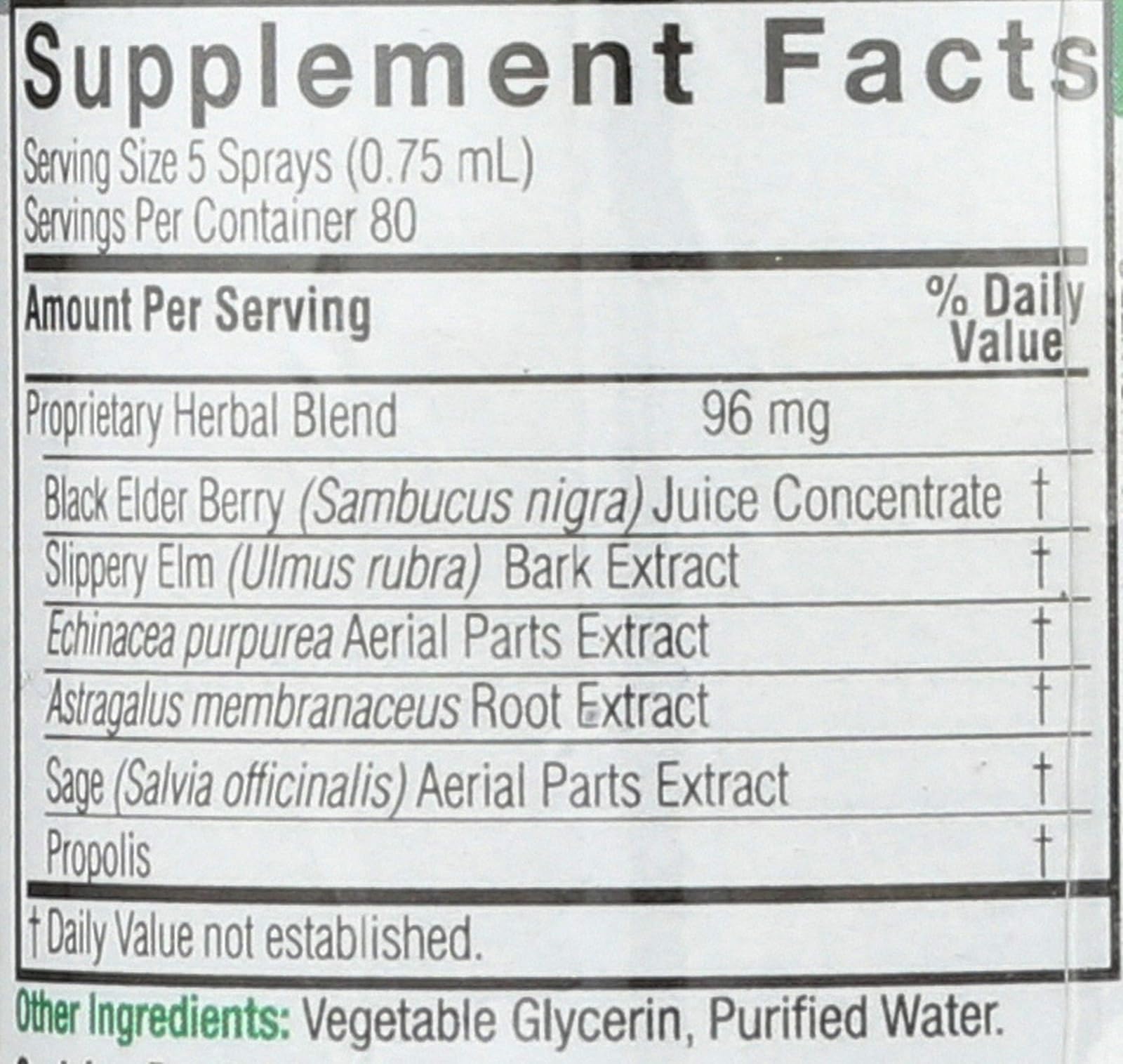 natural elderberry extract for wellness