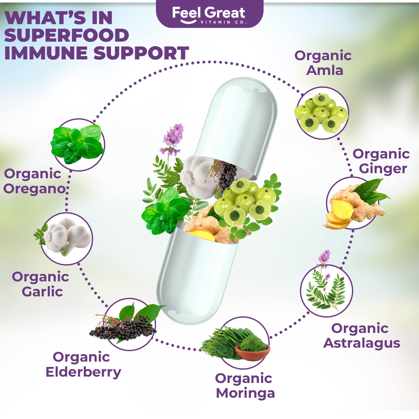 natural elderberry extract for wellness