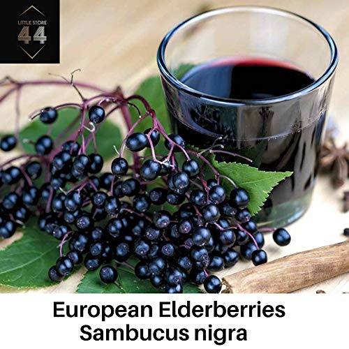 natural elderberry extract for wellness