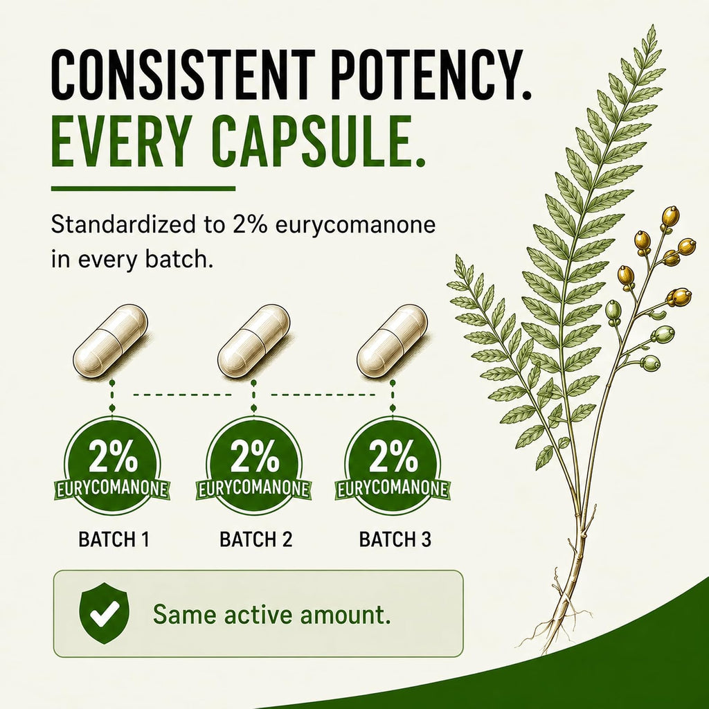 natural elderberry extract for wellness