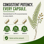 natural elderberry extract for wellness