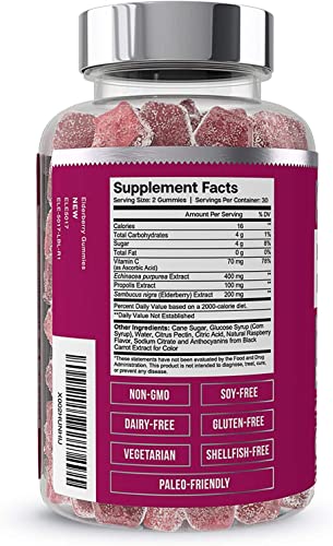 Natural elderberry extract for wellness
