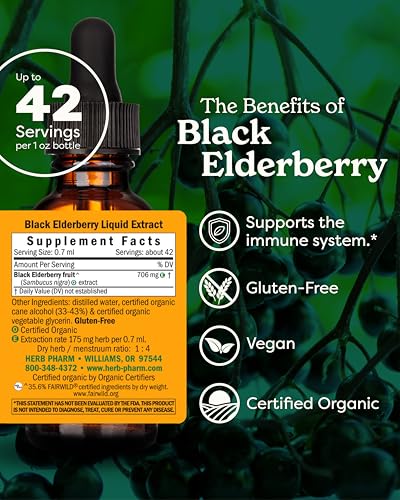 natural elderberry extract for wellness