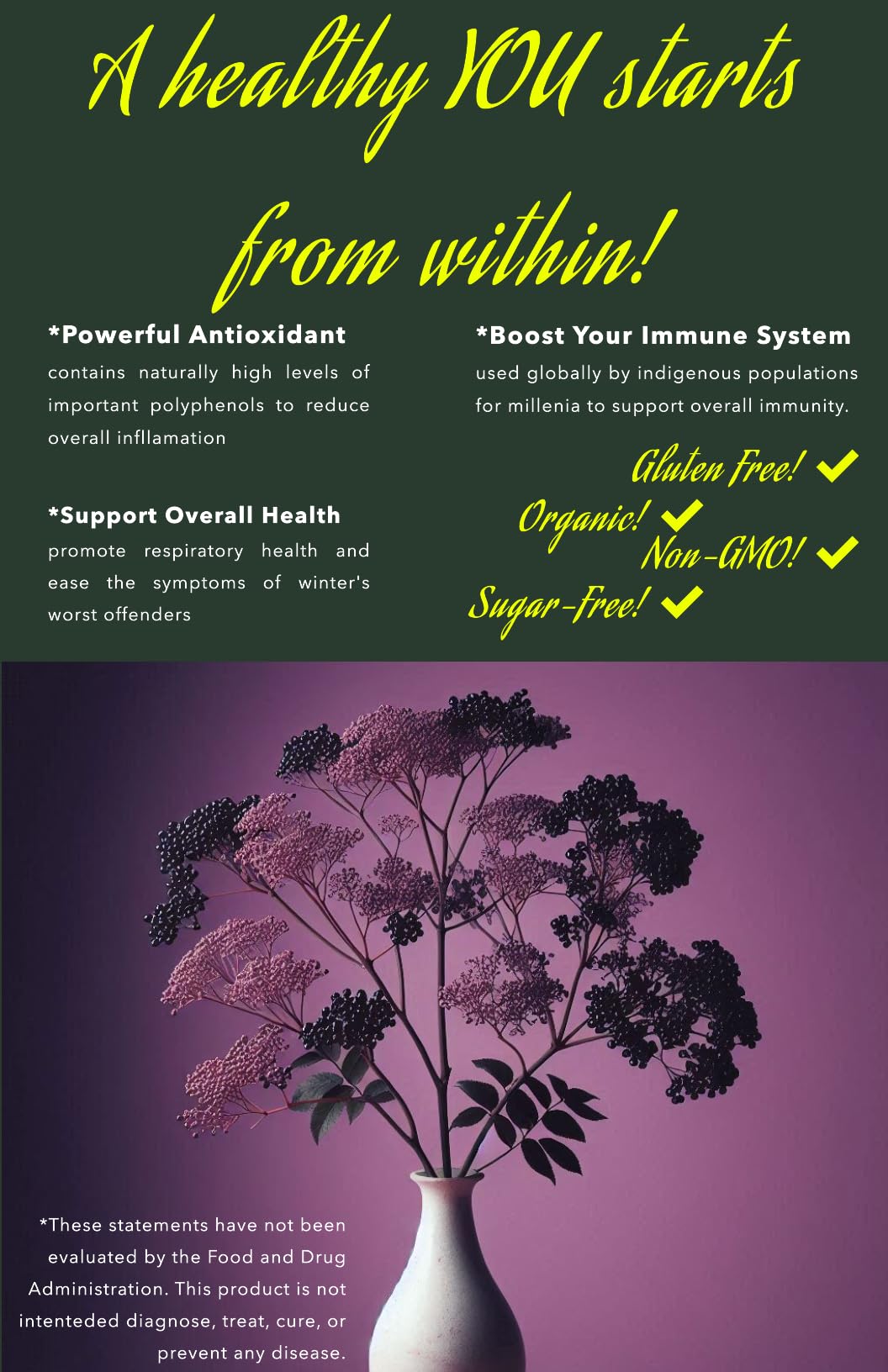 natural elderberry extract for wellness