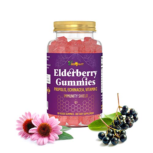 Natural elderberry extract for wellness