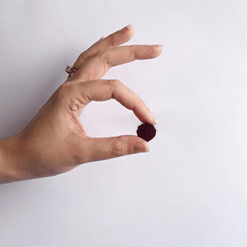 natural elderberry extract in gummy form