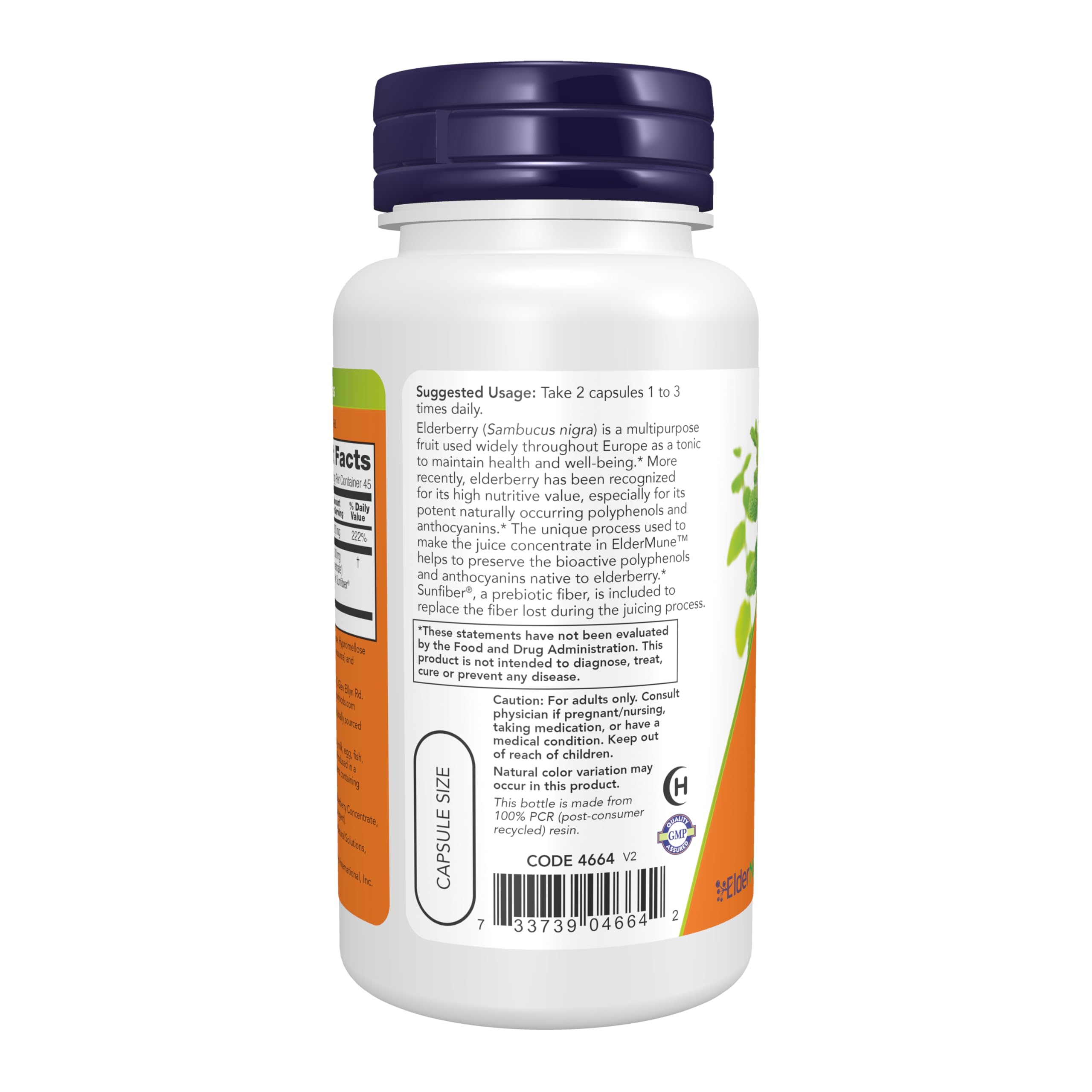 natural elderberry for daily wellness
