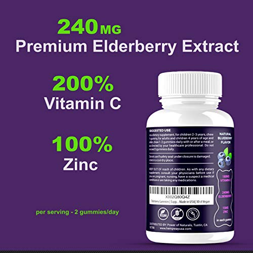 natural elderberry for daily wellness