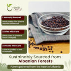 natural elderberry for immune support