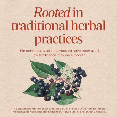 natural elderberry for seasonal support
