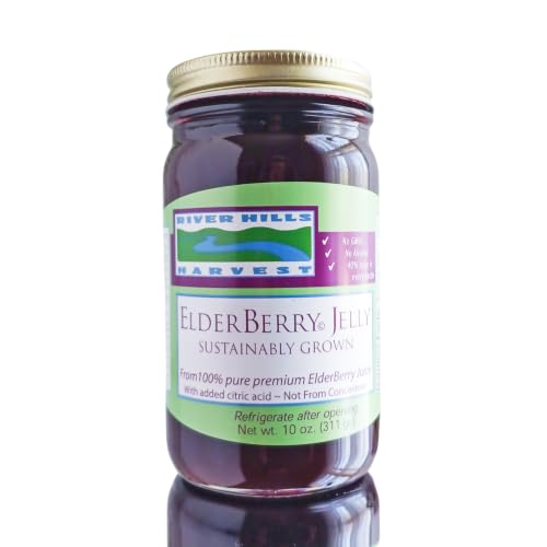 natural elderberry fruit extract