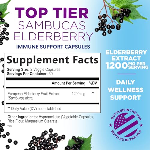 natural elderberry fruit extract
