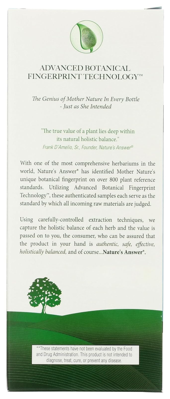 natural elderberry gummies for children