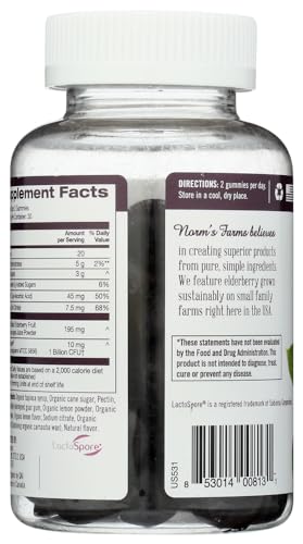 natural elderberry gummies for cold season