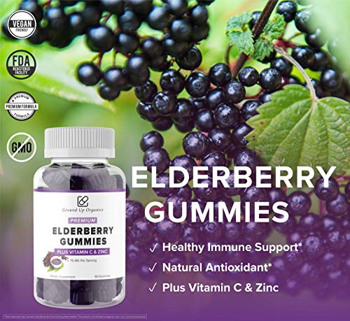 natural elderberry gummies for cold support