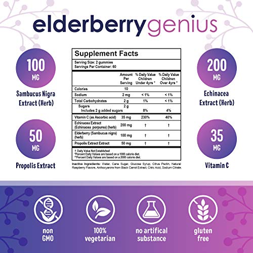 natural elderberry gummies for health