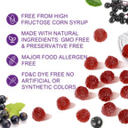 natural elderberry gummies for immunity