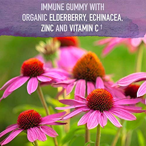natural elderberry gummies for kids