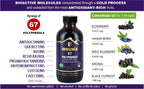natural elderberry gummies for kids