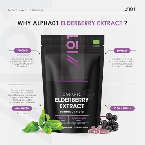 natural elderberry gummies for wellness