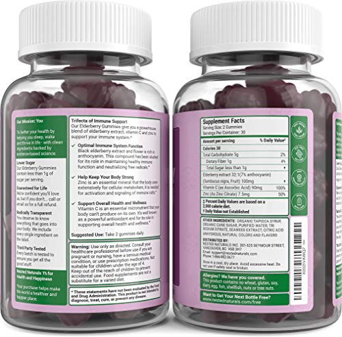 natural elderberry immune support for adults