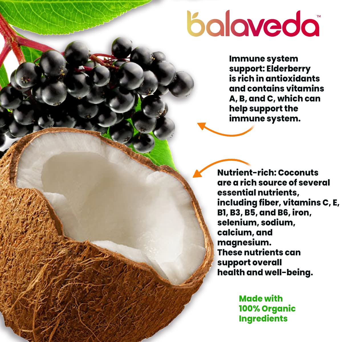Natural elderberry immunity support