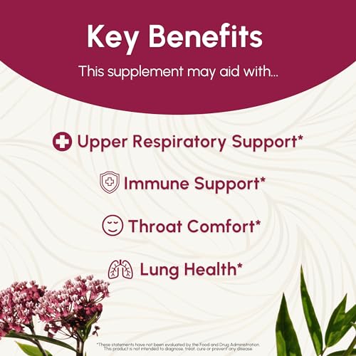 natural elderberry remedy for cold symptoms