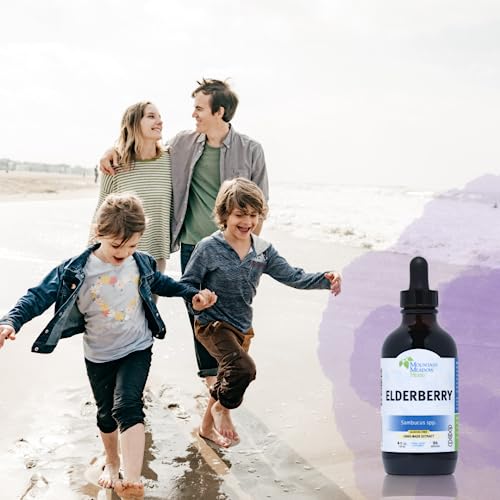natural elderberry remedy for colds