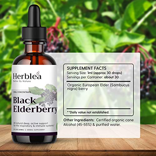 natural elderberry remedy for colds
