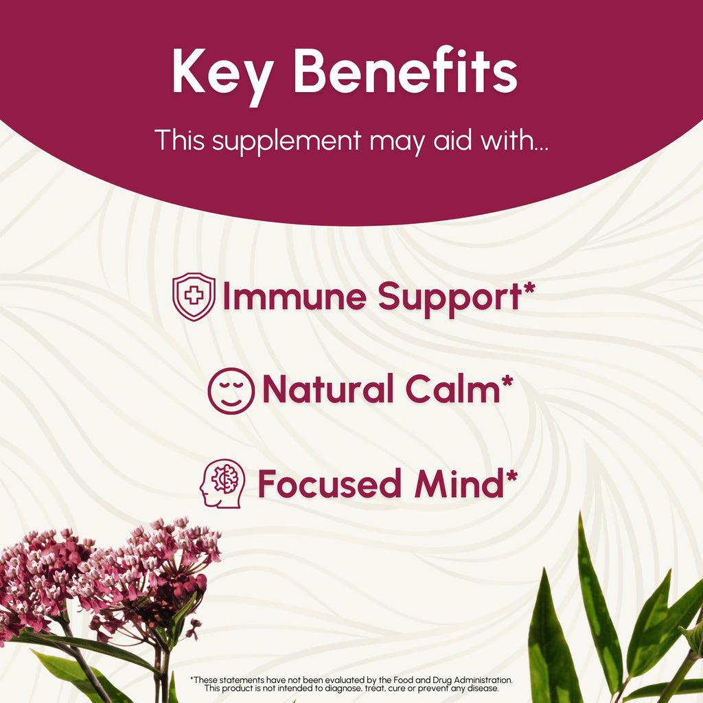 Natural elderberry remedy for wellness