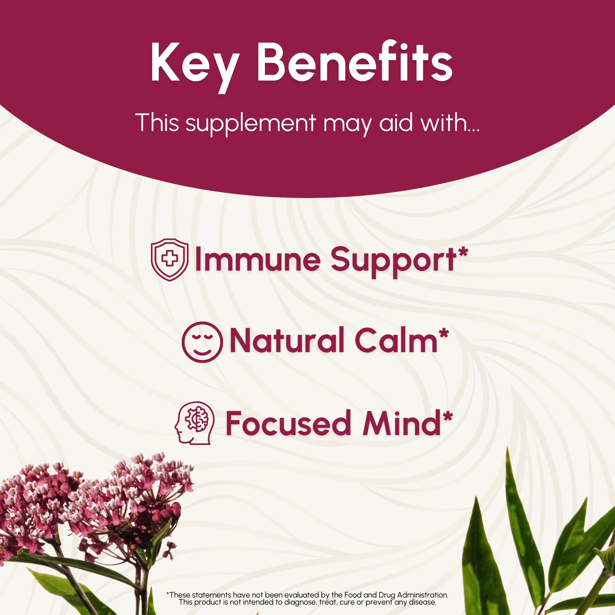 Natural elderberry remedy for wellness