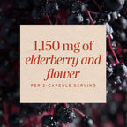 Natural elderberry supplement for adults