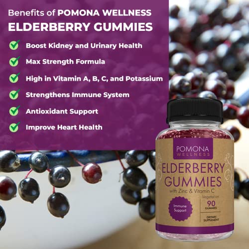 natural elderberry supplement for adults