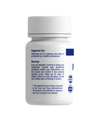 natural elderberry supplement for daily use