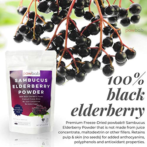 natural elderberry supplement for health