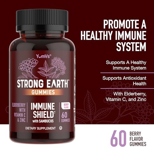 natural elderberry supplement for immune boost
