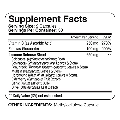 natural elderberry supplement for immunity