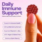 natural elderberry supplement for immunity