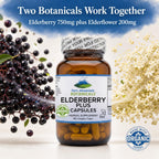 natural elderberry supplement for immunity