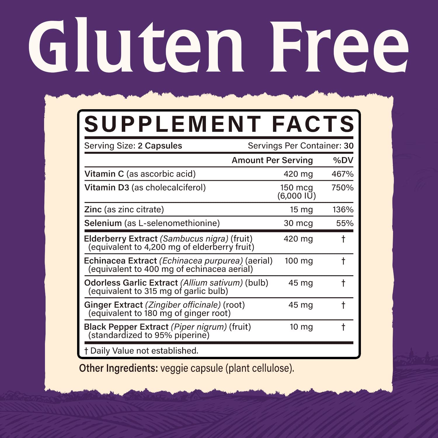 Natural elderberry supplement for wellness
