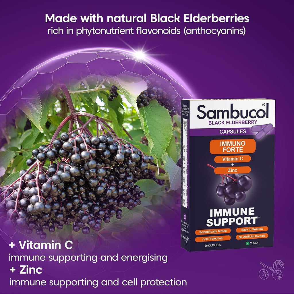 natural elderberry supplement for wellness