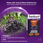 natural elderberry supplement for wellness