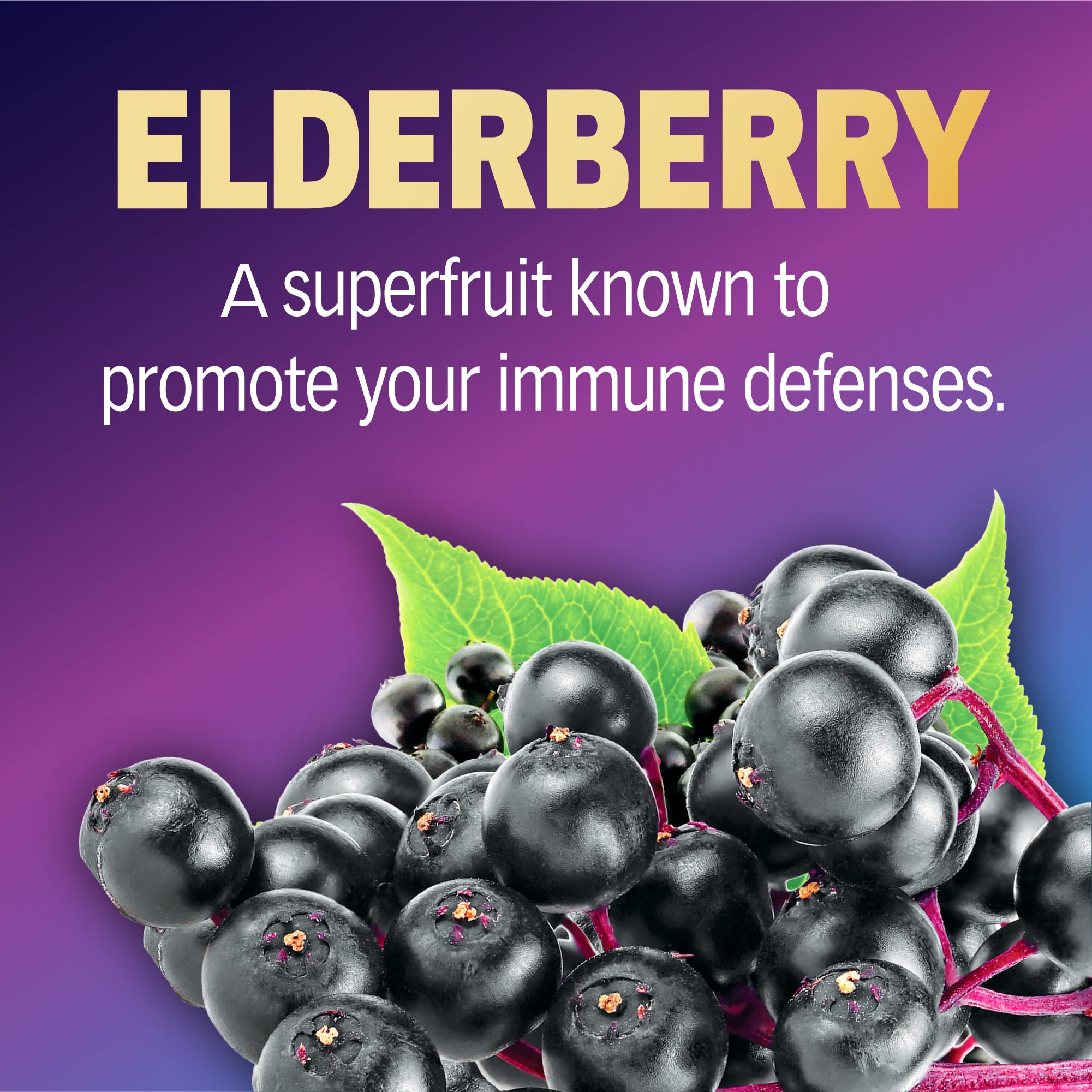 Natural elderberry supplement for wellness