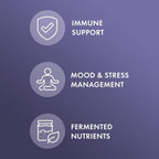 natural elderberry supplement for wellness