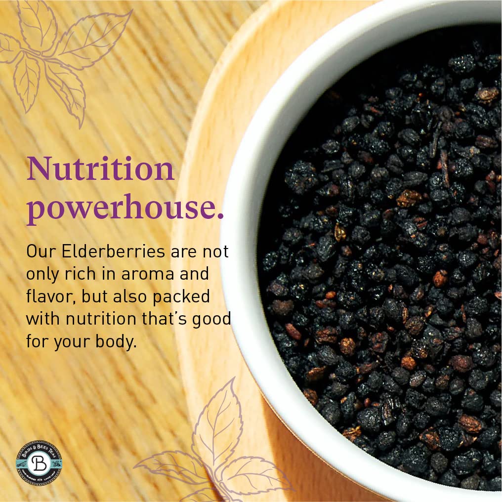 natural elderberry supplement for wellness