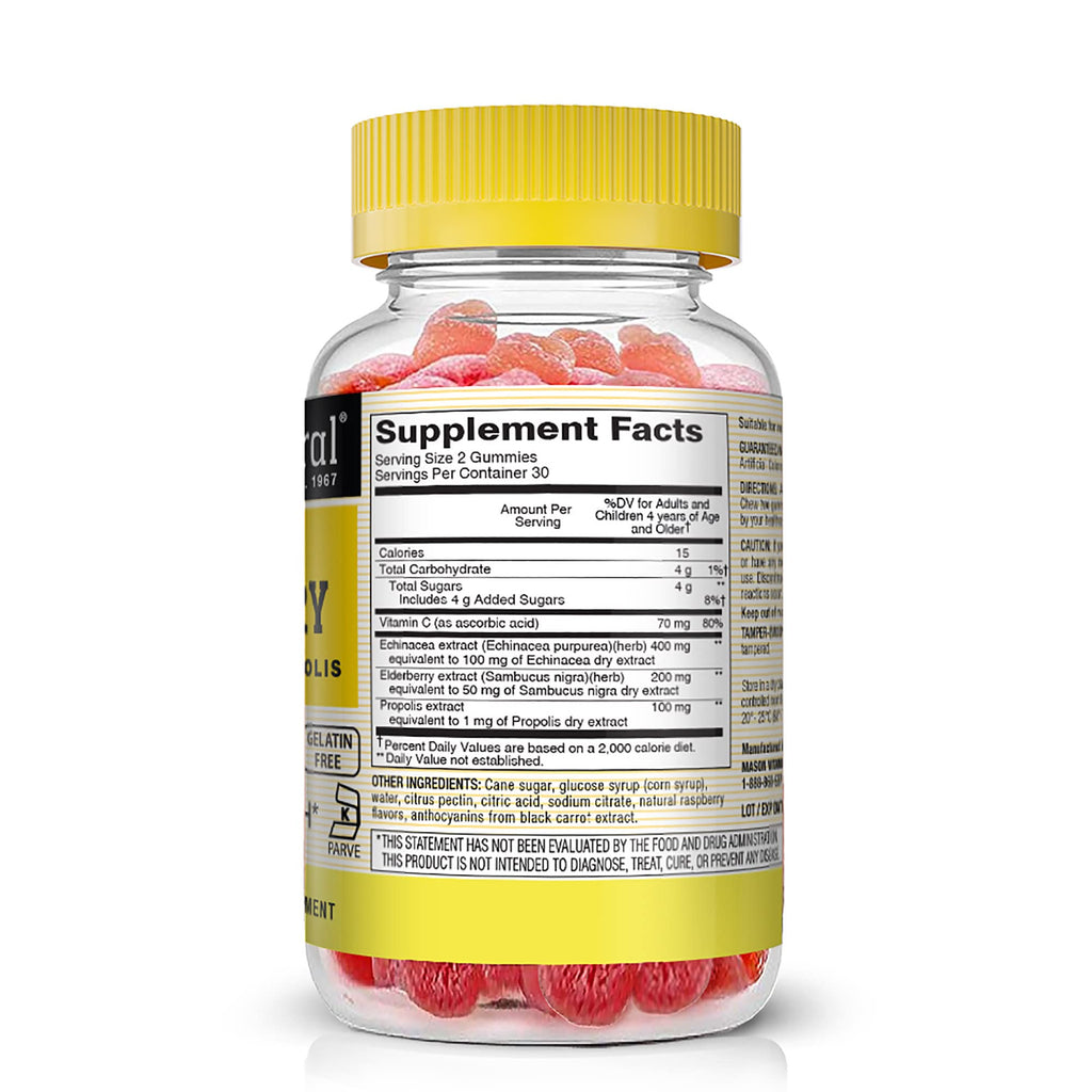 Natural elderberry supplement for wellness
