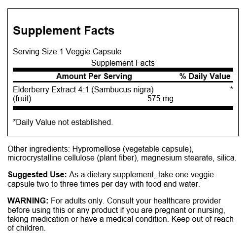 natural elderberry supplement for wellness