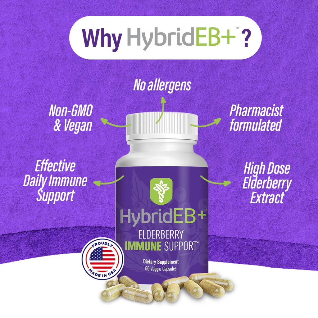 natural elderberry supplement for wellness
