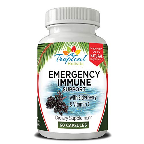 natural elderberry supplement for wellness