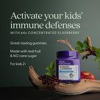 natural elderberry syrup alternative